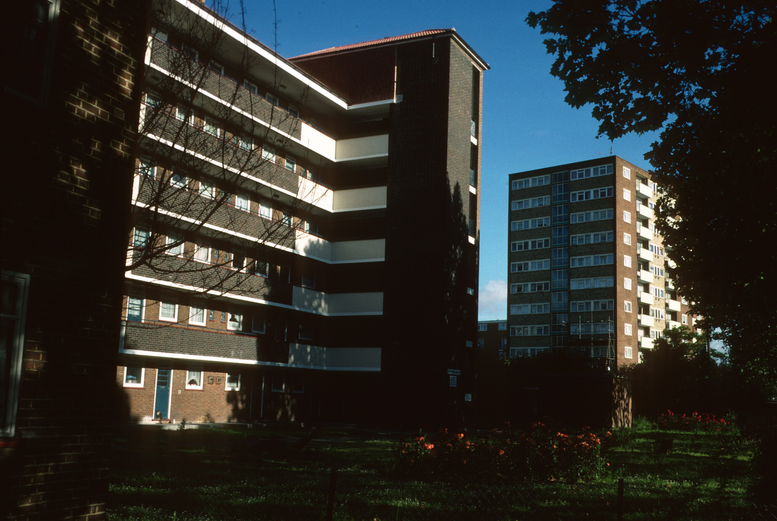 Camilla Road | Tower Block